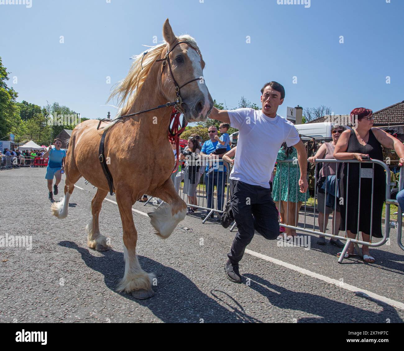 Wickham Horse Fair 2024 Stock Photo - Alamy