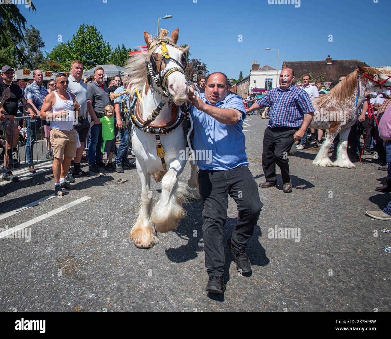 Wickham Horse Fair 2024 Stock Photo - Alamy