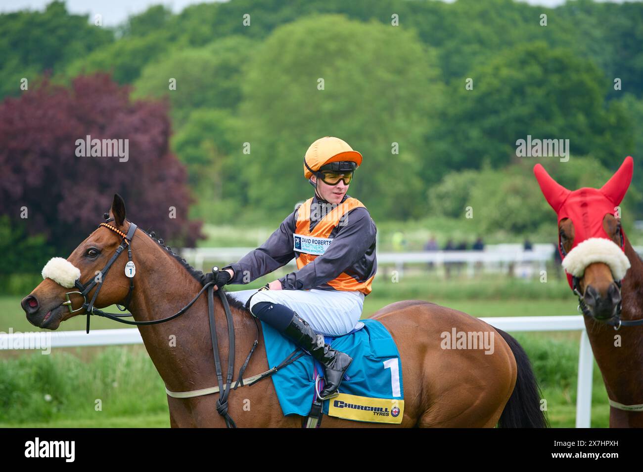 Jockey Ryan Sexton on Badri at York Racecourse during the Dante ...