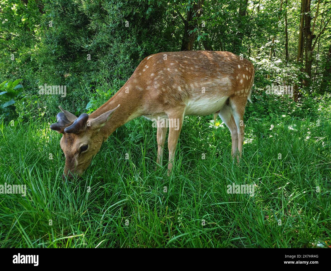 Campus klinikum grosshadern hi-res stock photography and images - Alamy