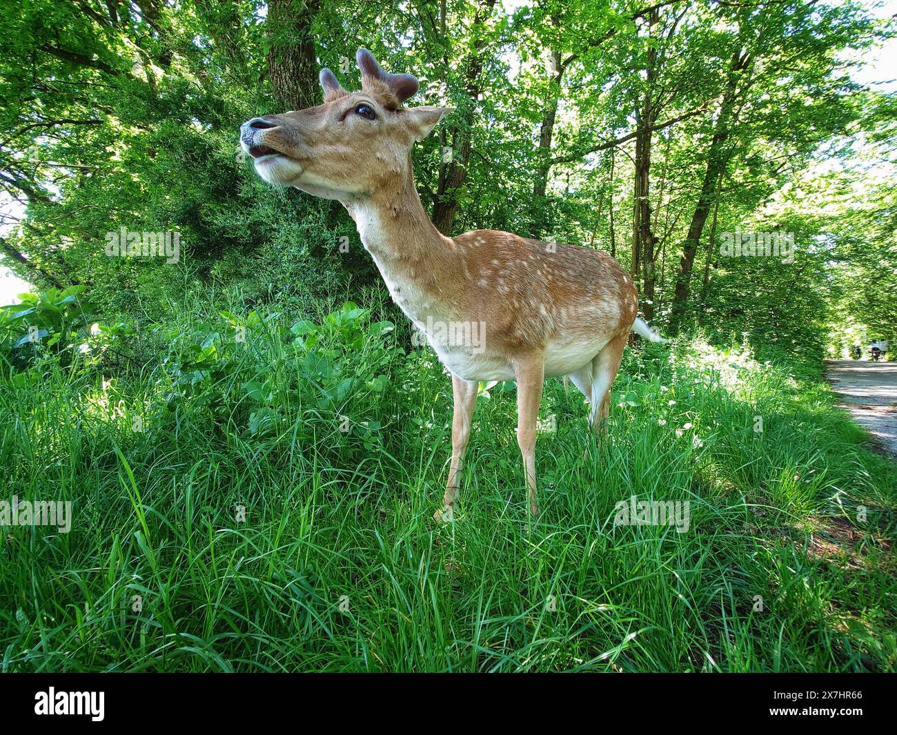 Campus klinikum grosshadern hi-res stock photography and images - Alamy
