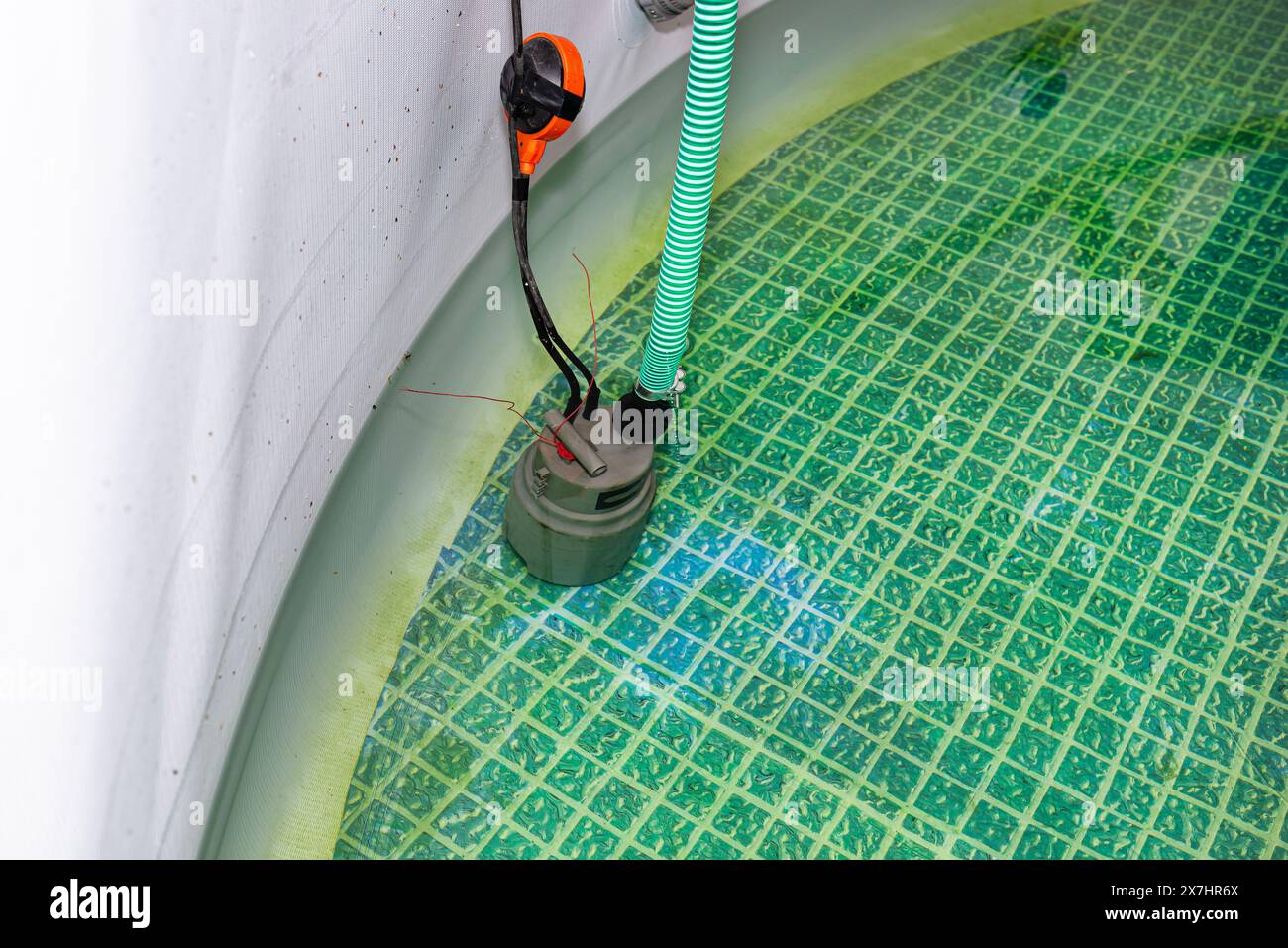 Emptying used water from a garden swimming pool using a home water pump ...