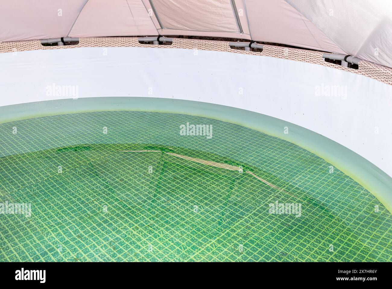 Emptying used water from a garden swimming pool using a home water pump ...