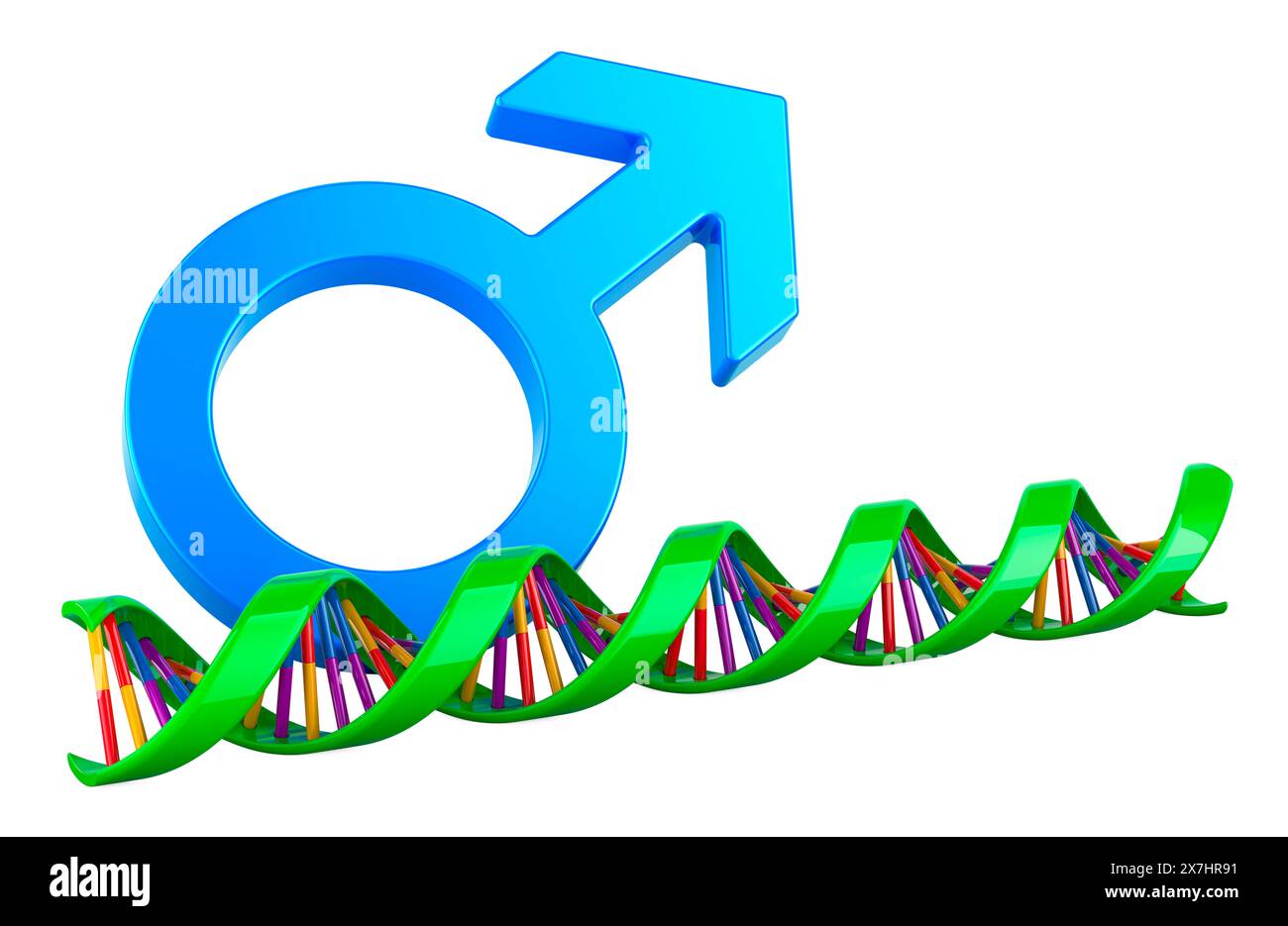 DNA spiral with male gender symbol. Paternity DNA Testing, concept. 3D ...