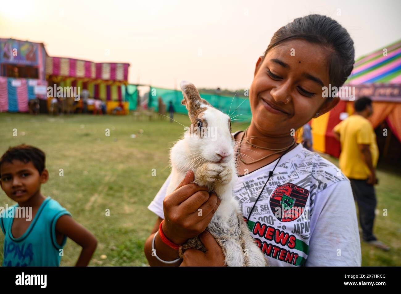 Rabbit zoonotic diseases hi-res stock photography and images - Alamy