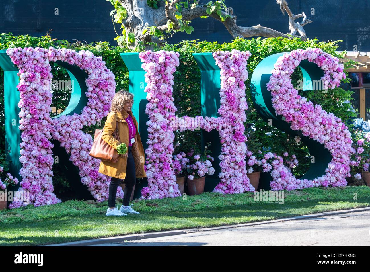 Rhs chelsea flower show 2024 royal horticultural society hi-res stock ...