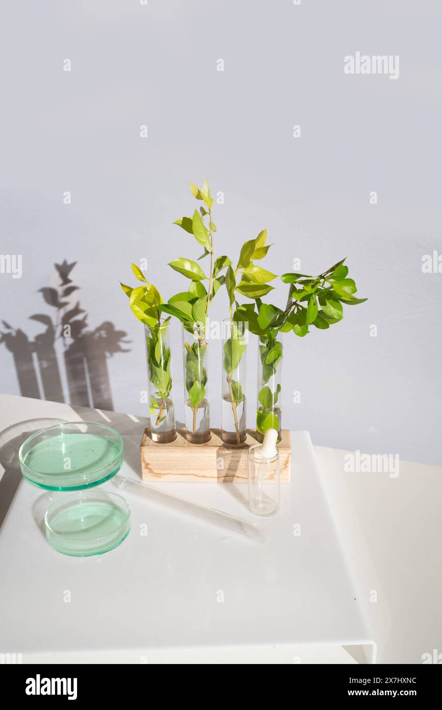 Science and nature concept Stock Photo - Alamy