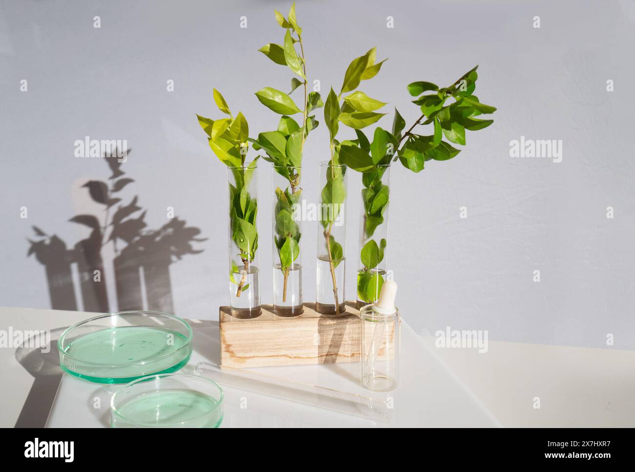 Science and nature concept Stock Photo - Alamy