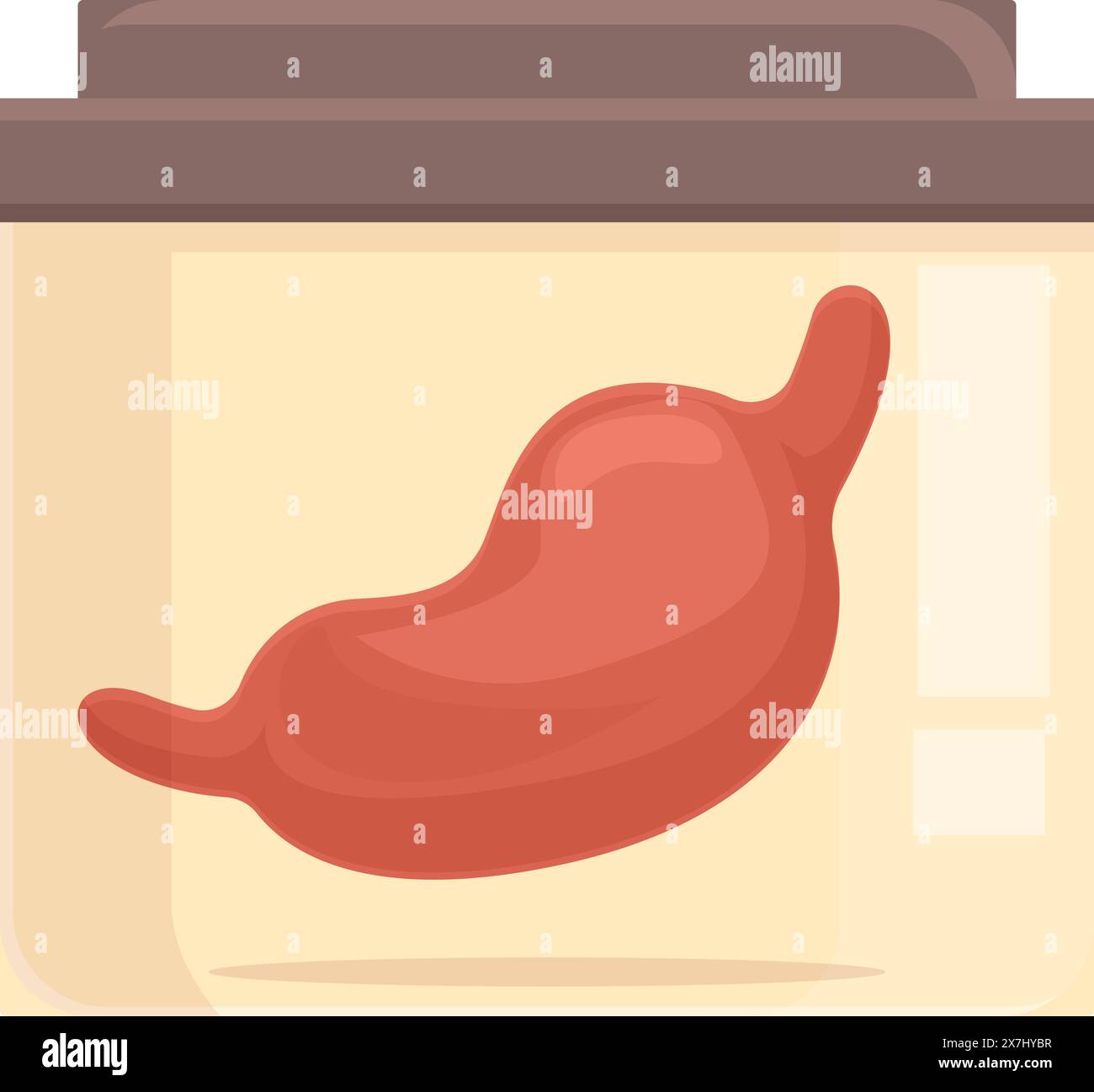 Colorful and bright cartoon stomach anatomy illustration in flat style ...