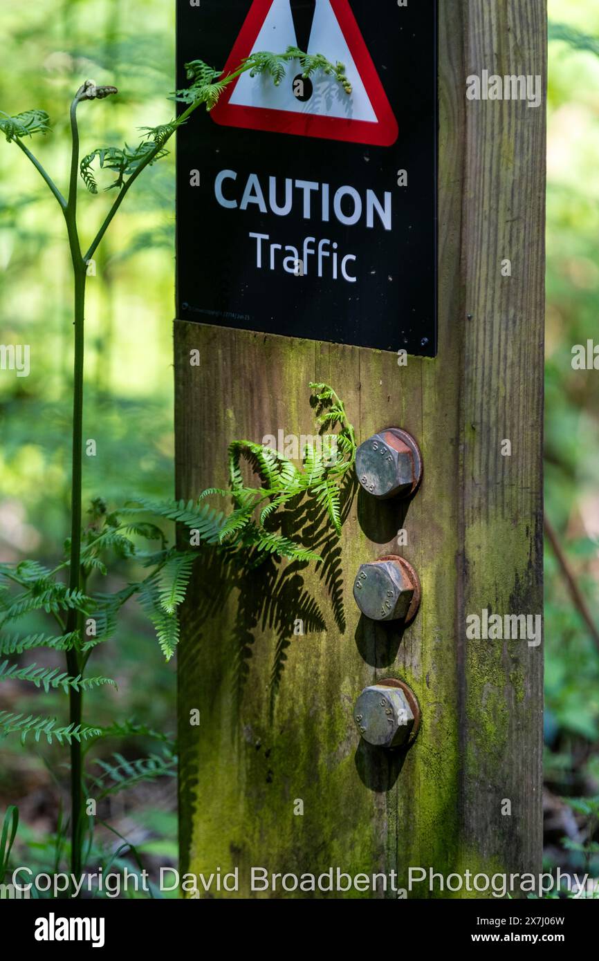 Huge bolts used in railway construction decorate a Caution sign along a ...