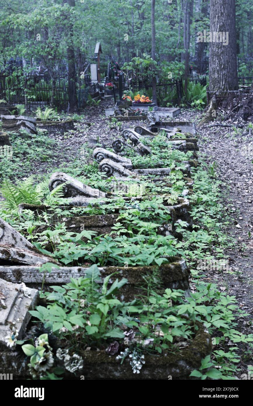 Cemetery plant hi-res stock photography and images - Alamy