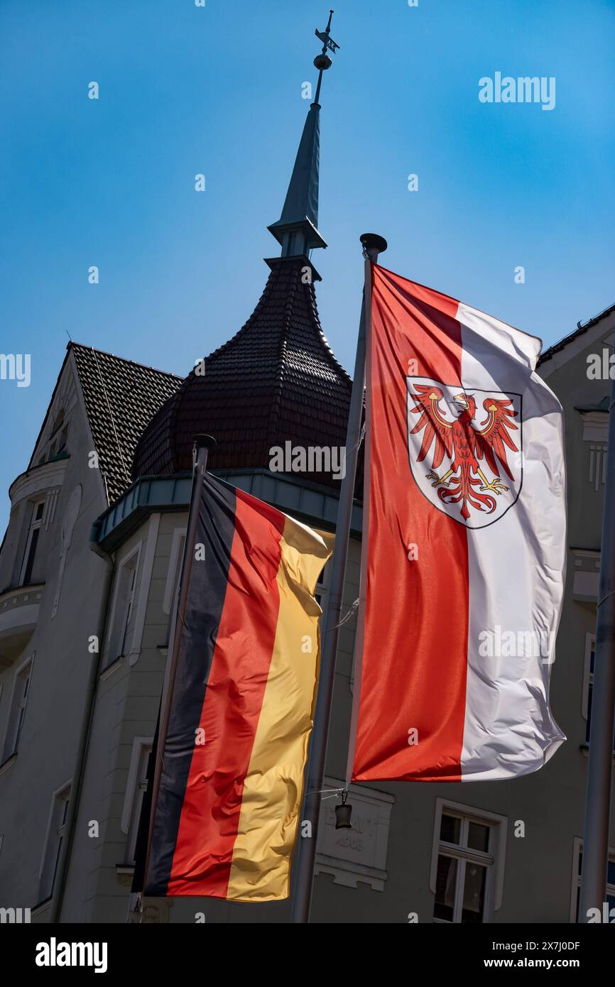 Die Flaggen von Deutschland und Brandenburg vor dem Rathaus der Stadt ...