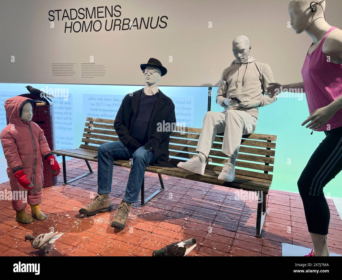 Naturkundemuseum Rotterdam Ausstellung im Naturkundemuseum Rotterdam ...