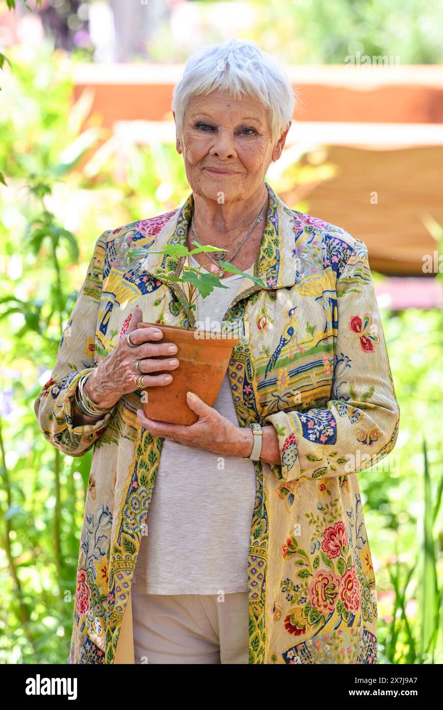 London, UK. 20th May, 2024. Dame Judi Dench receives a seedling from ...