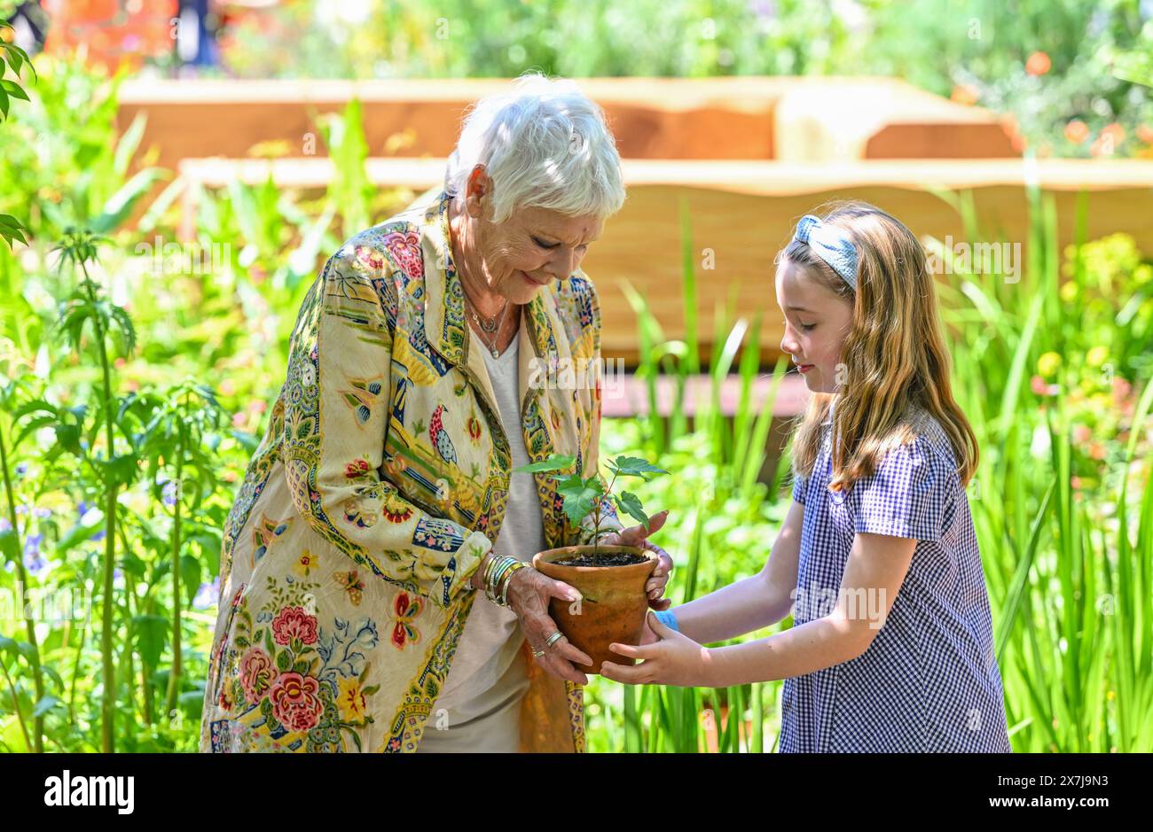 London, UK. 20th May, 2024. Dame Judi Dench receives a seedling from ...