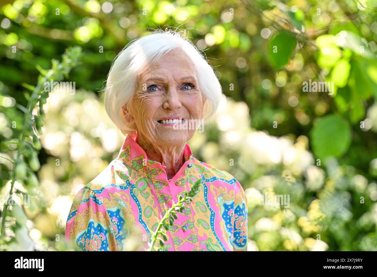 Mary berry rhs chelsea flower show royal hospital chelsea hi-res stock ...