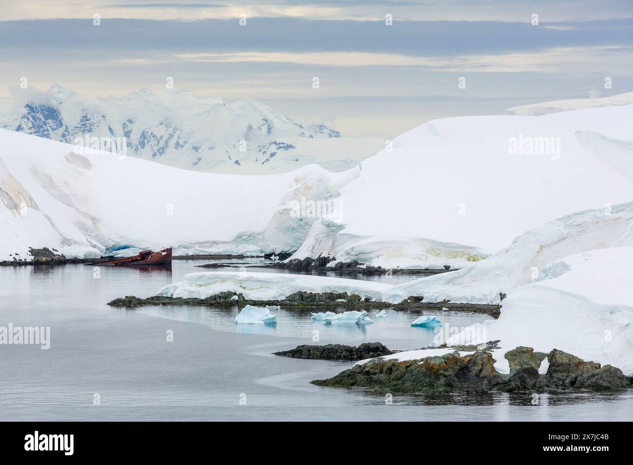 Wilhelmina Bay, Antarctic Peninsula, Antarctica Stock Photo - Alamy