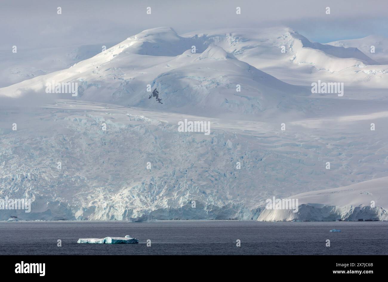Wilhelmina Bay, Antarctic Peninsula, Antarctica Stock Photo - Alamy