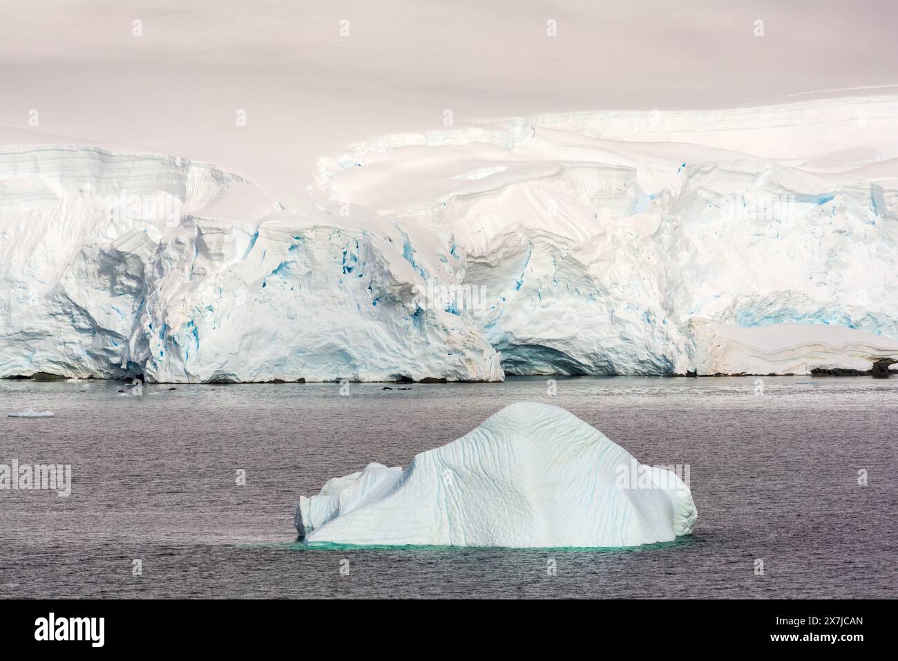 Wilhelmina Bay, Antarctic Peninsula, Antarctica Stock Photo - Alamy