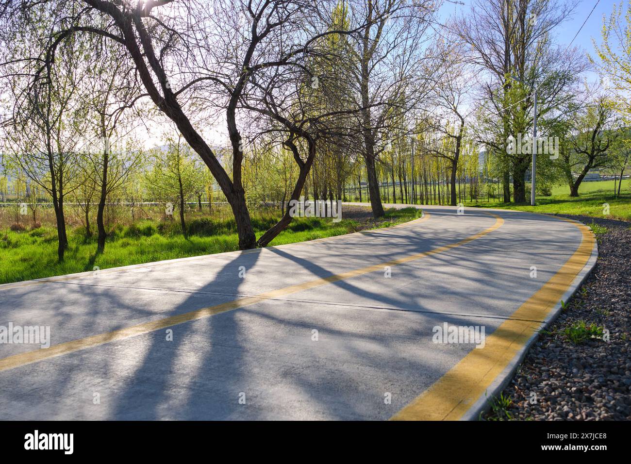A peaceful, curved pathway in a park lined with early spring trees ...