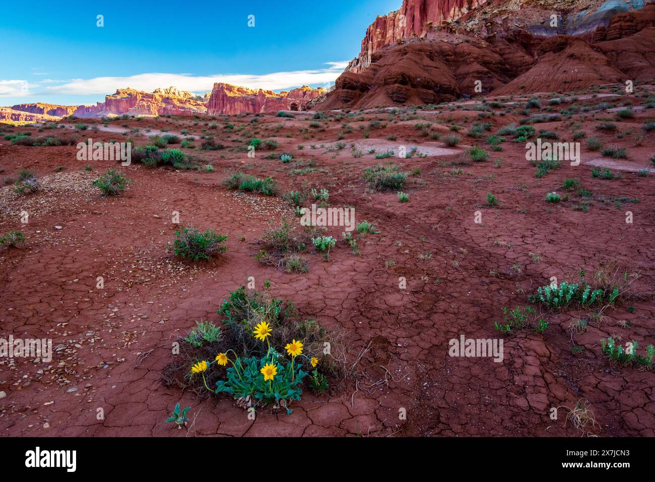 The beautiful landscape of Capitol Reef National Park, Utah, USA ...