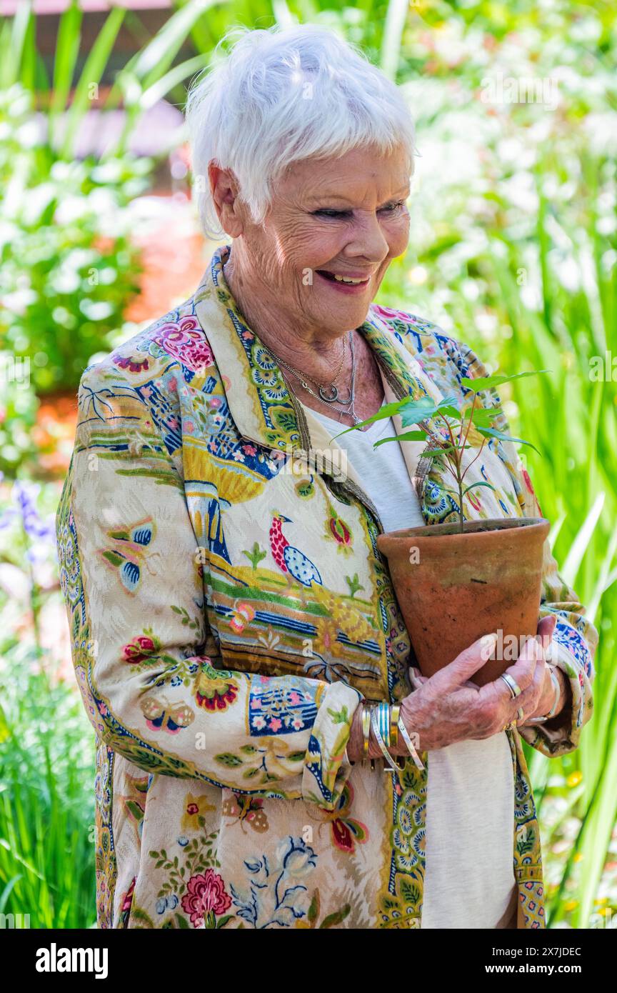 London, UK. 20th May, 2024. Dame Judy Dench holds a seedling from the ...