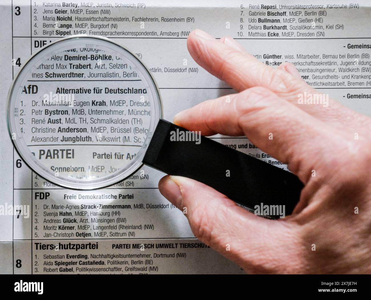 Afd, Kandidaten Maximilian Krah und Petr Bystron, Stimmzettel ...
