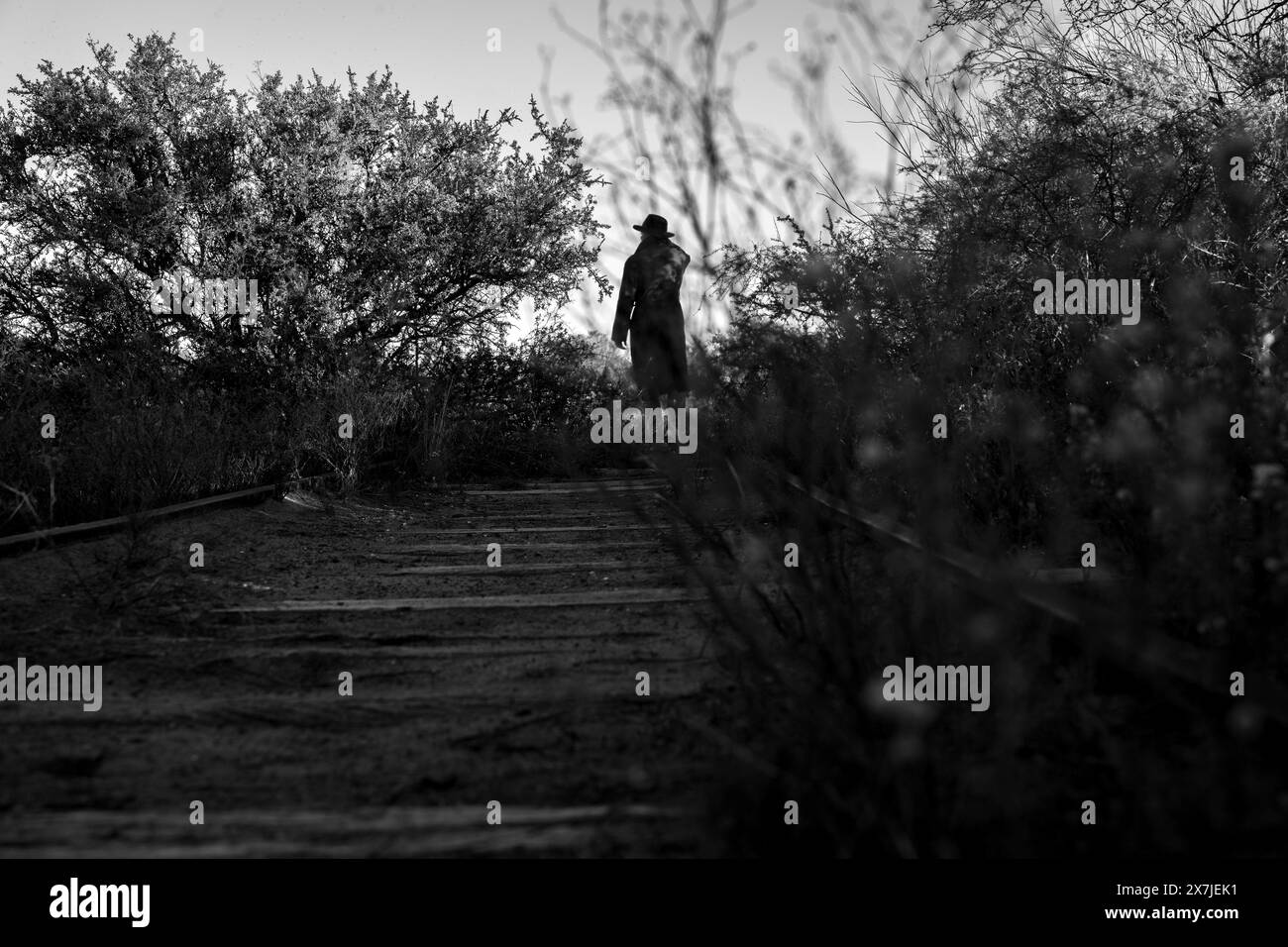 Caminante caminante caminante caminante hi-res stock photography and ...