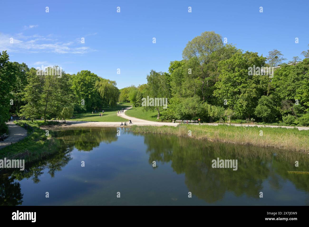 Ententeich, Stadtpark, Rudolph-Wilde-Park, Schöneberg, Tempelhof ...