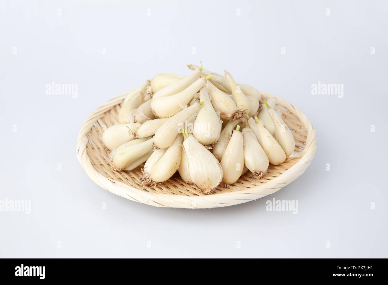raw bulbs of Japanese leek Chinese onion isolated on white background ...