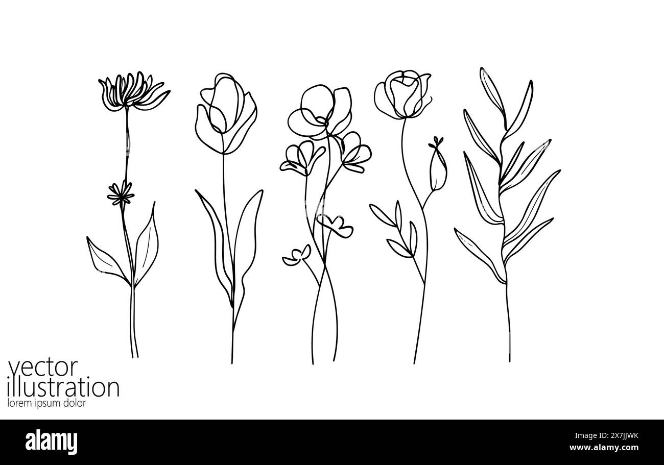 One line floral set element. Black and white monochrome continuous ...