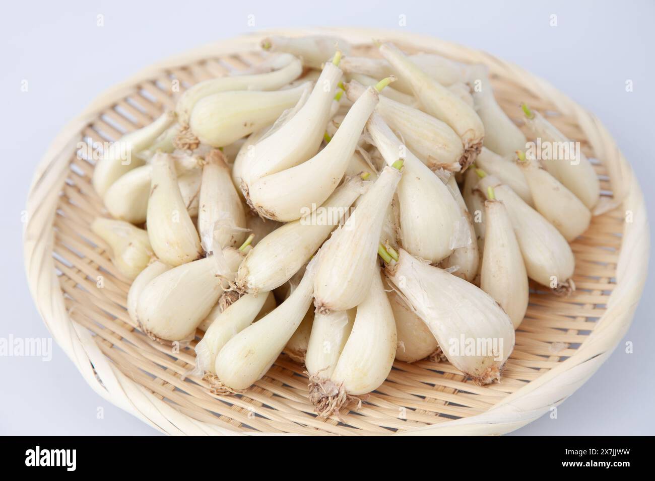 raw bulbs of Japanese leek Chinese onion isolated on white background ...