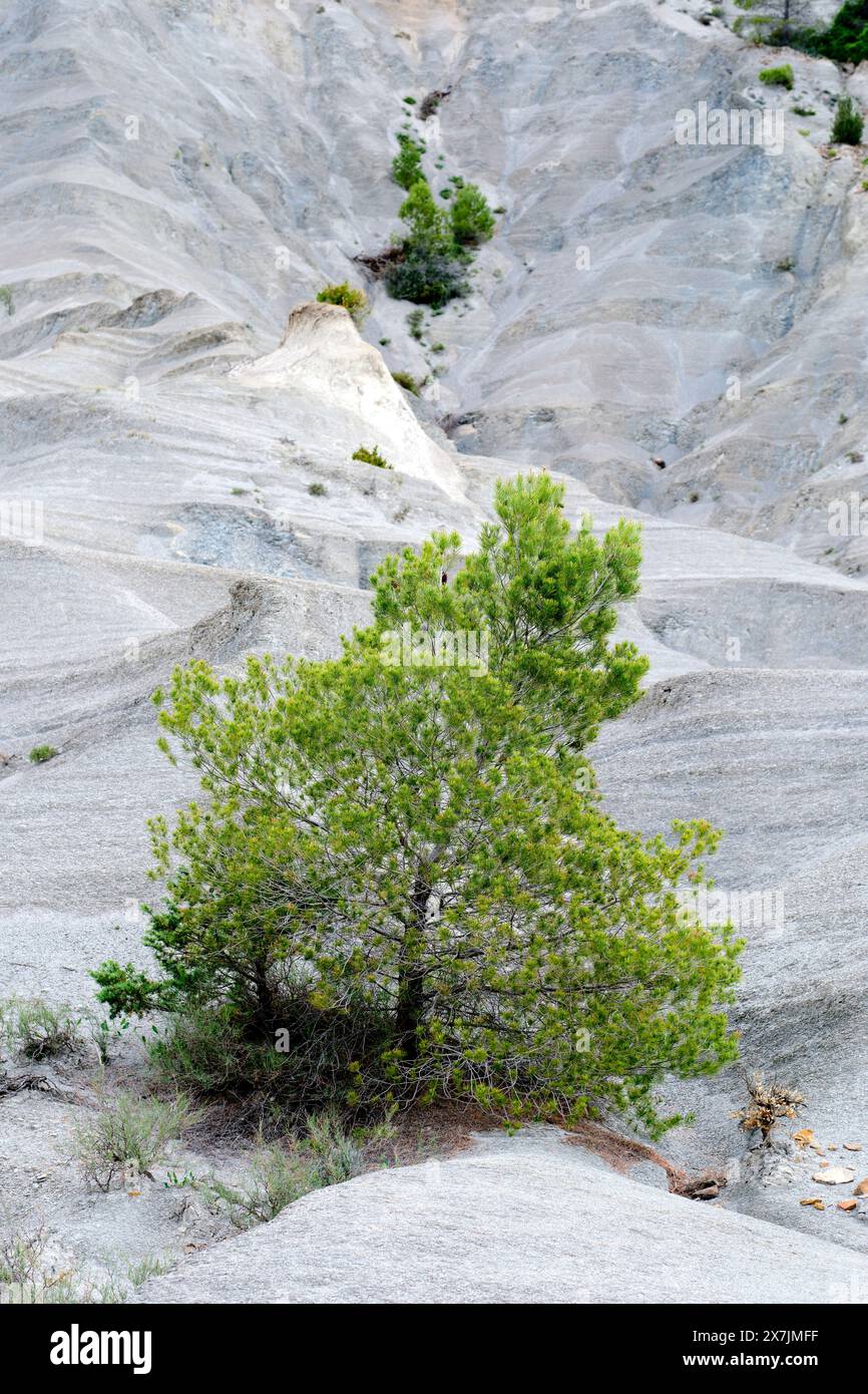 Arid and stony craggy zone with little poor vegetation. Yesa reservoir ...