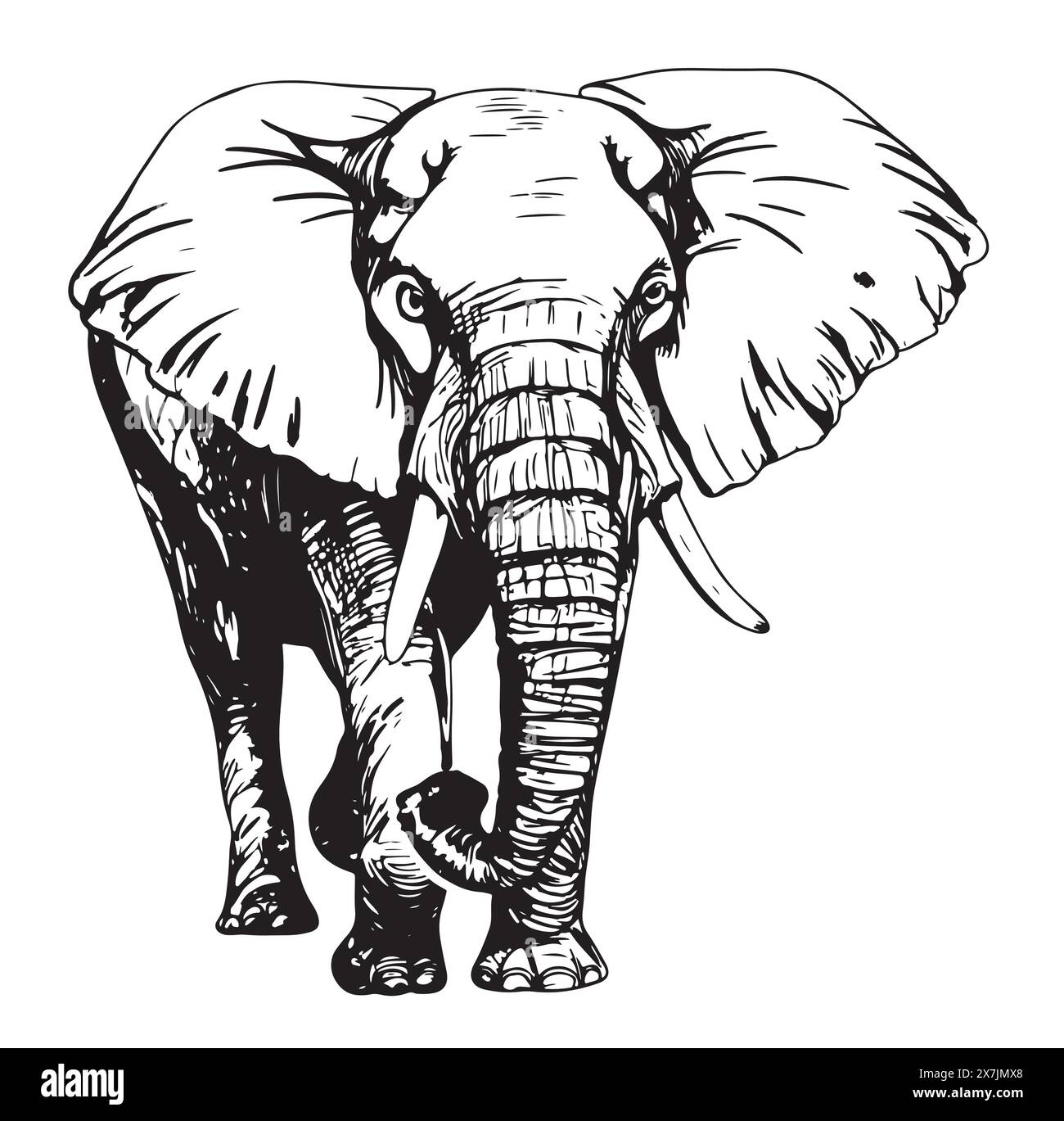 Elephant walking sketch hand drawn in doodle style illustration Stock ...