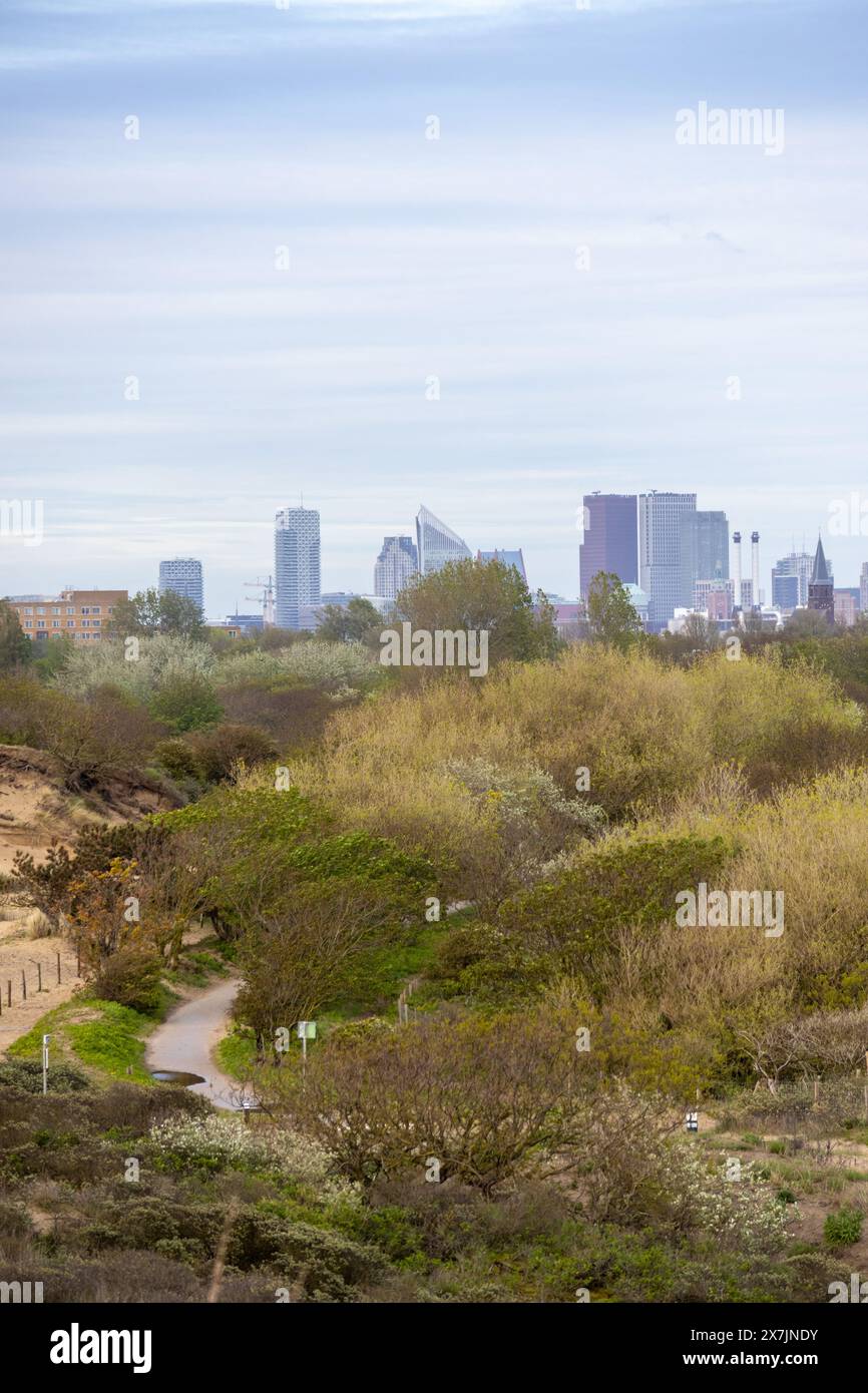 The Hague, the Netherlands - May 5, 2024: The city of The Hague skyline ...