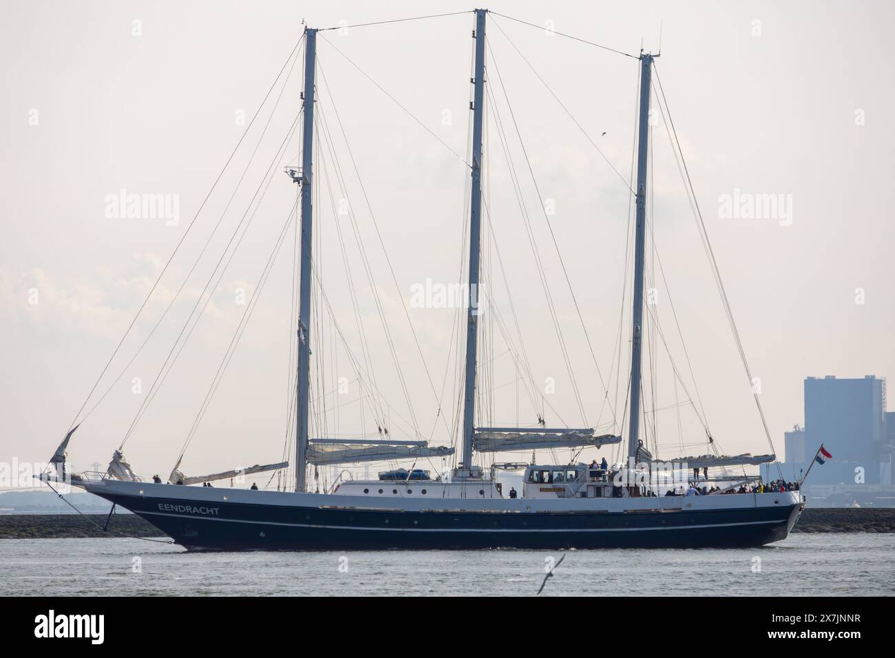 Hoek van Holland, Netherlands - May 5 2024: three masted schooner sailing training ship ...