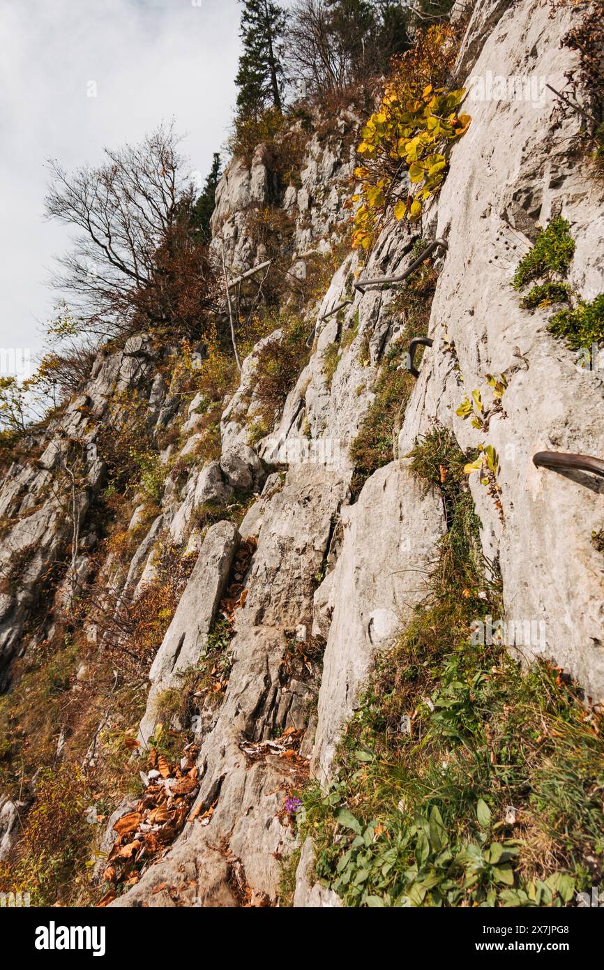 Metal rungs drilled into a cliff face create a ladder on a hiking trail ...