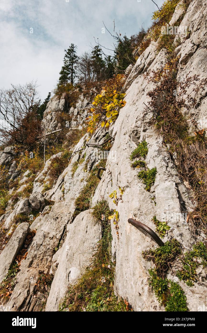 Metal rungs drilled into a cliff face create a ladder on a hiking trail ...