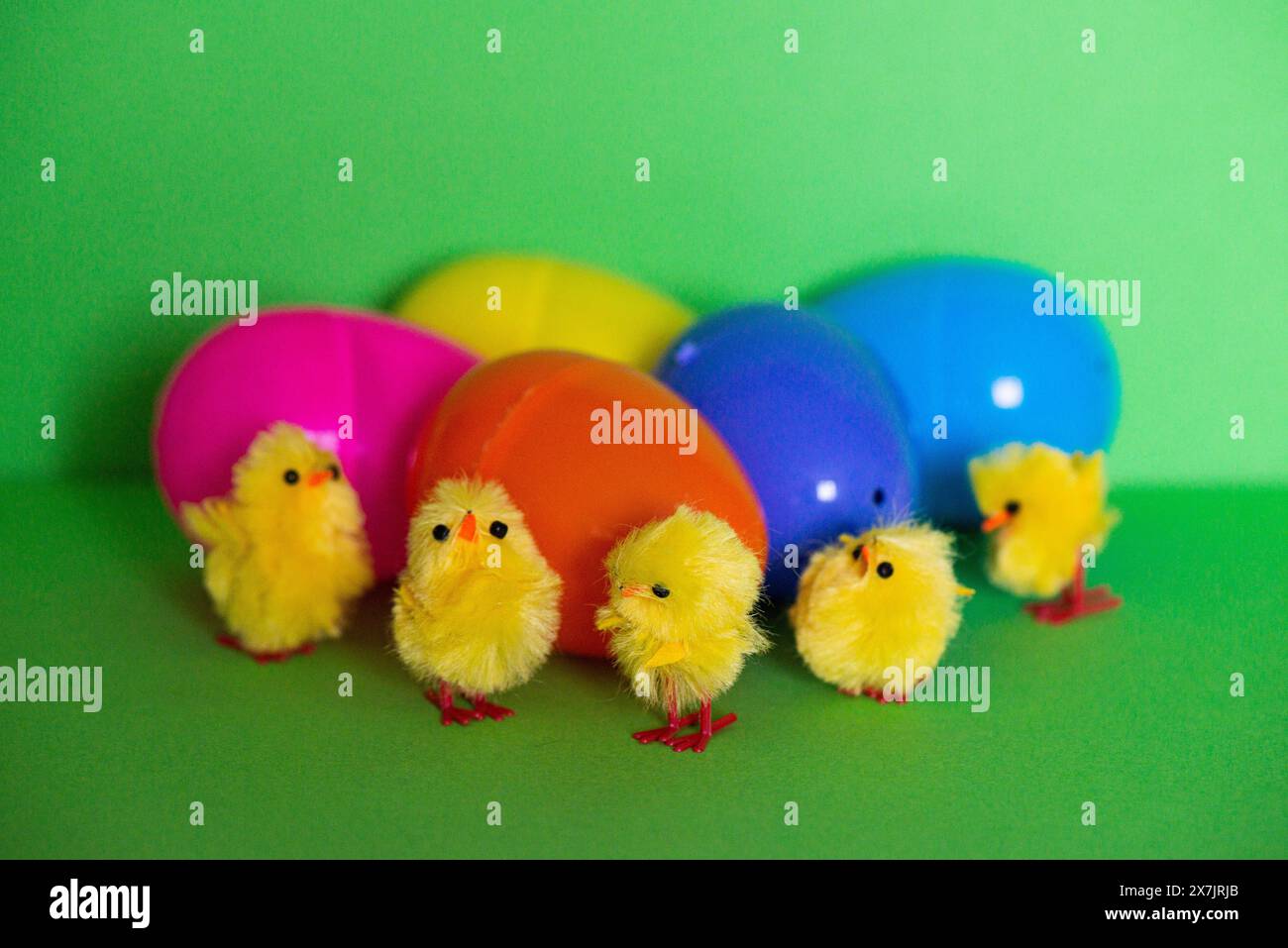 Plastic eggs and yellow fluffy Easter chicks Stock Photo - Alamy