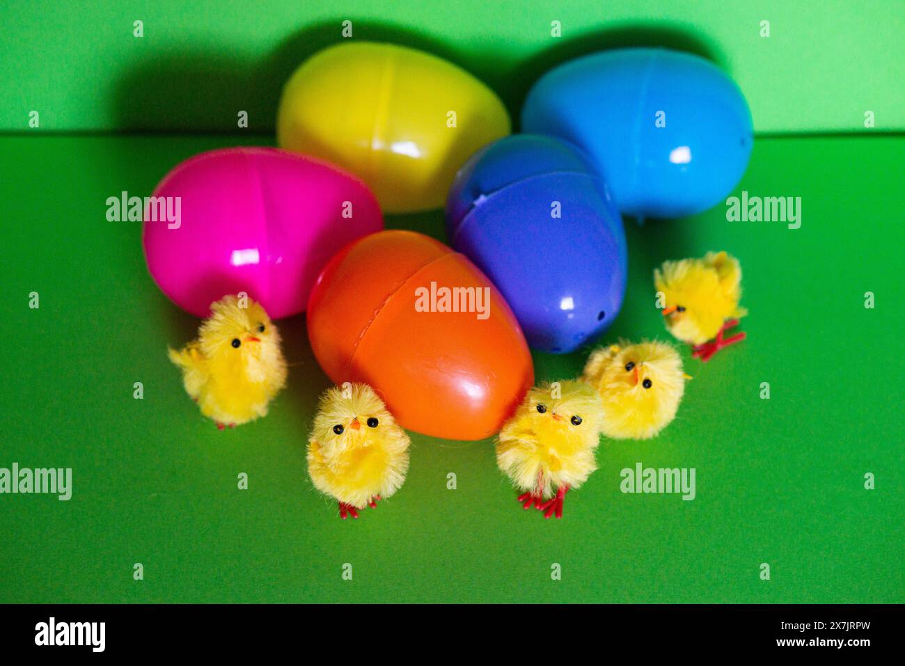 Plastic eggs and yellow fluffy Easter chicks Stock Photo - Alamy