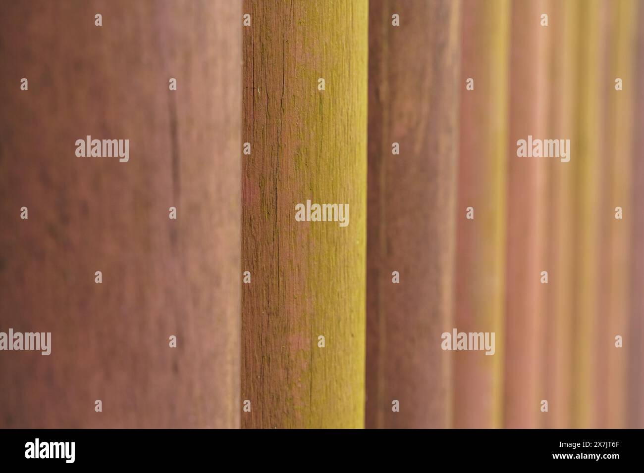 Detailed view of a line of wooden poles forming a fence. The texture ...