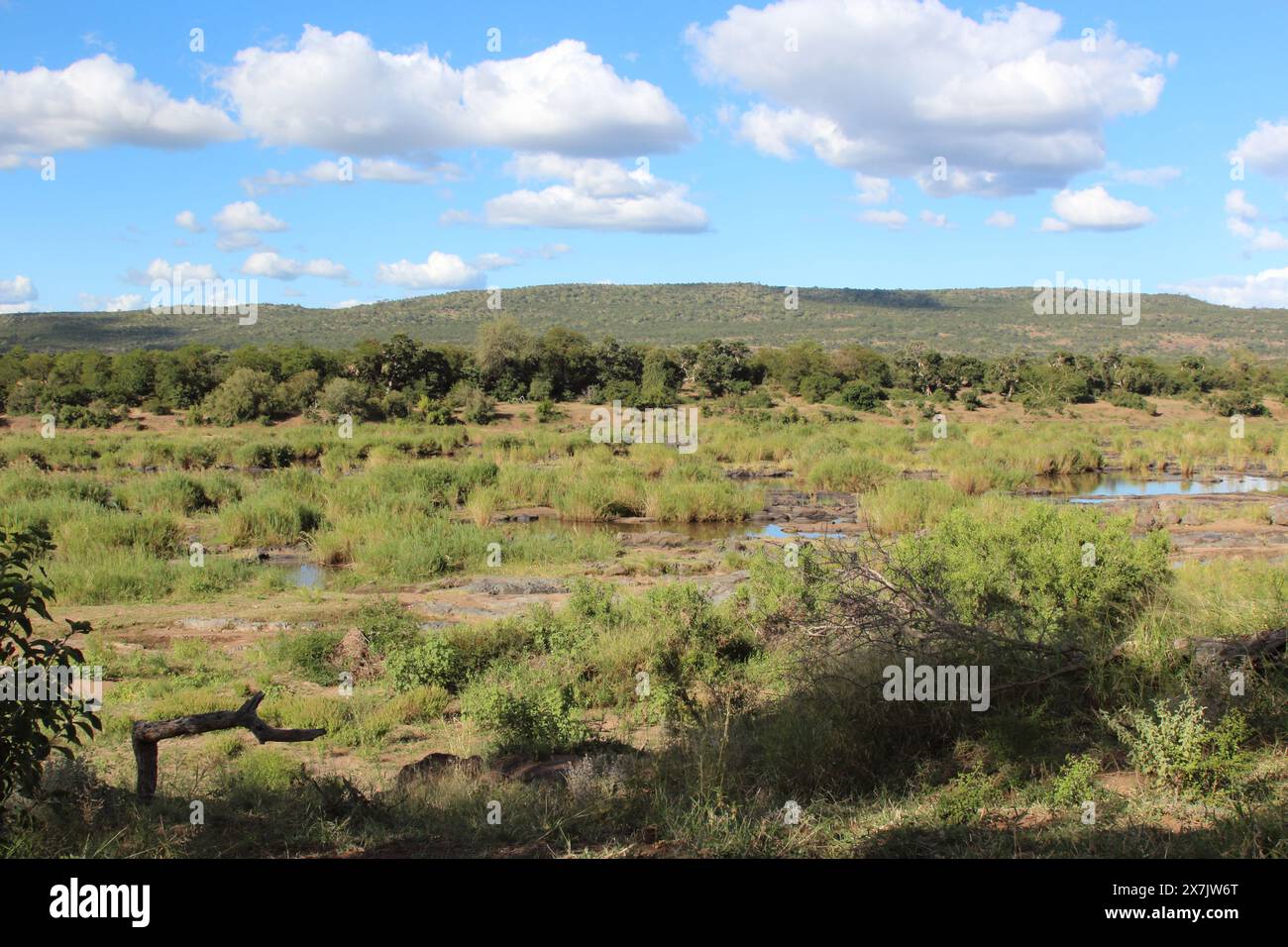 Krüger Park - Afrikanischer Busch - Letaba River / Kruger Park ...