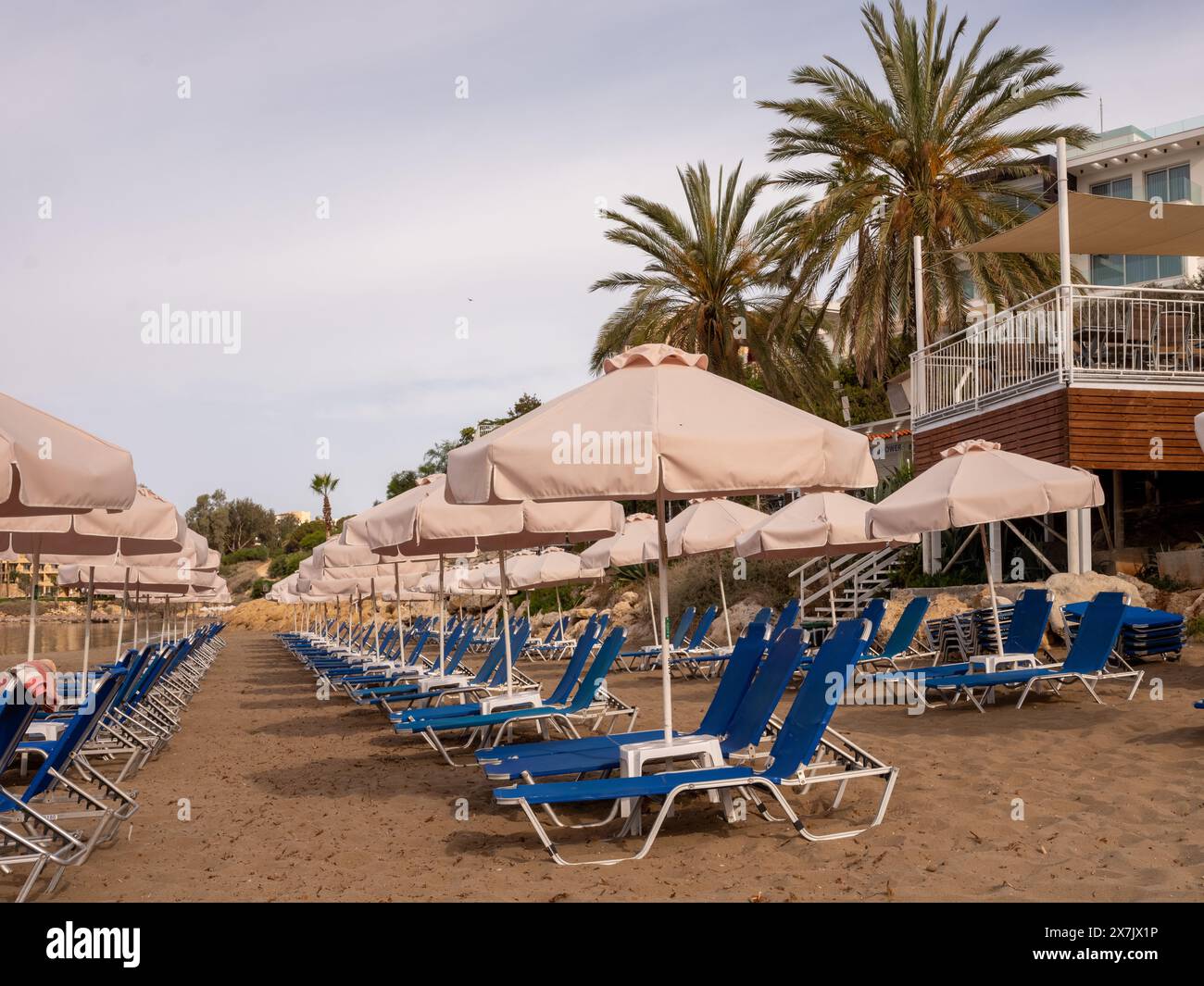 May 2024 - Rows of beach umbrellas and sunbeds near Pafos, Cyprus Stock ...