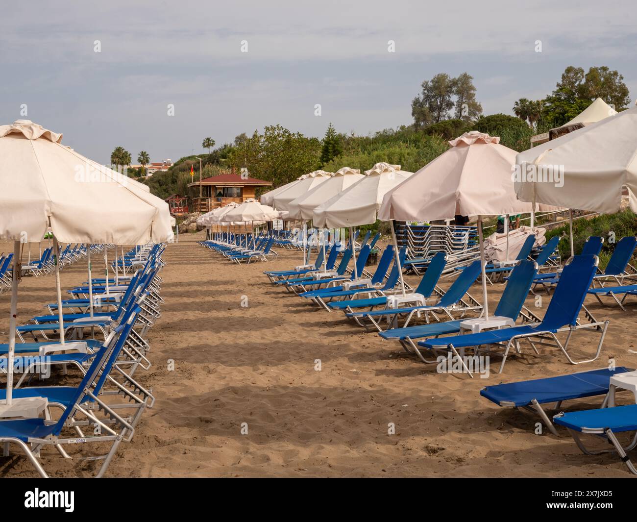 May 2024 - Rows of beach umbrellas and sunbeds near Pafos, Cyprus Stock ...