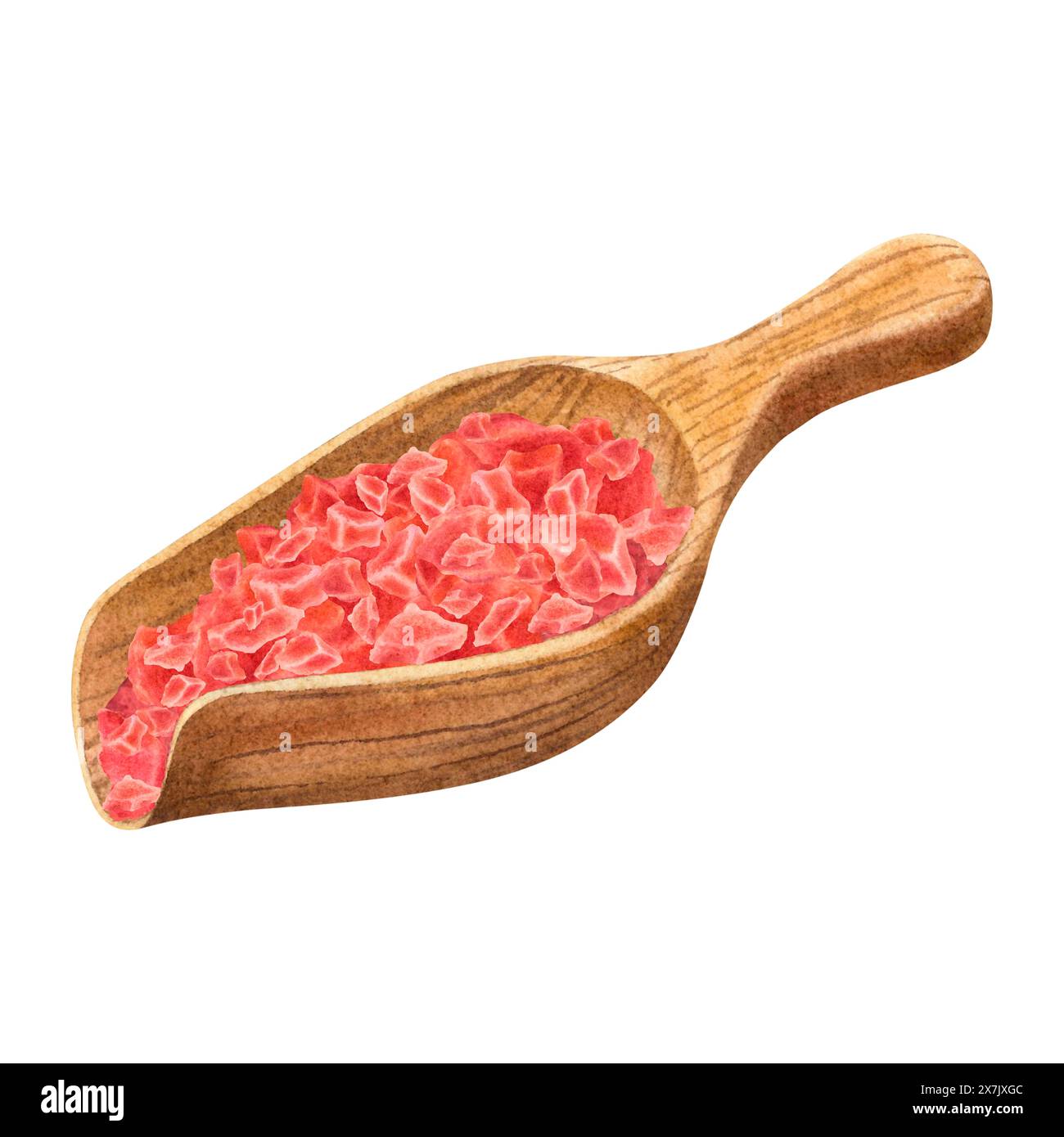 Crystals of sea salt in wooden scoop, hand drawn watercolor ...