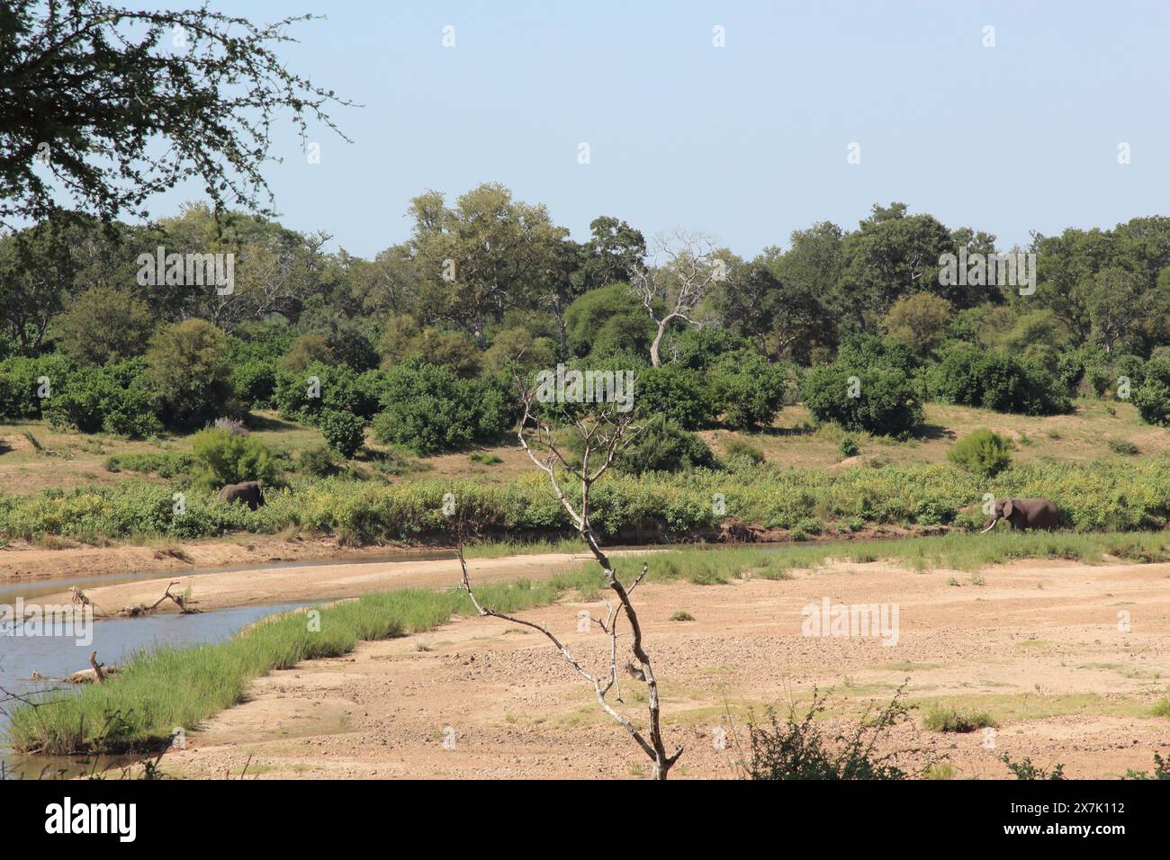 Letabariver hi-res stock photography and images - Alamy