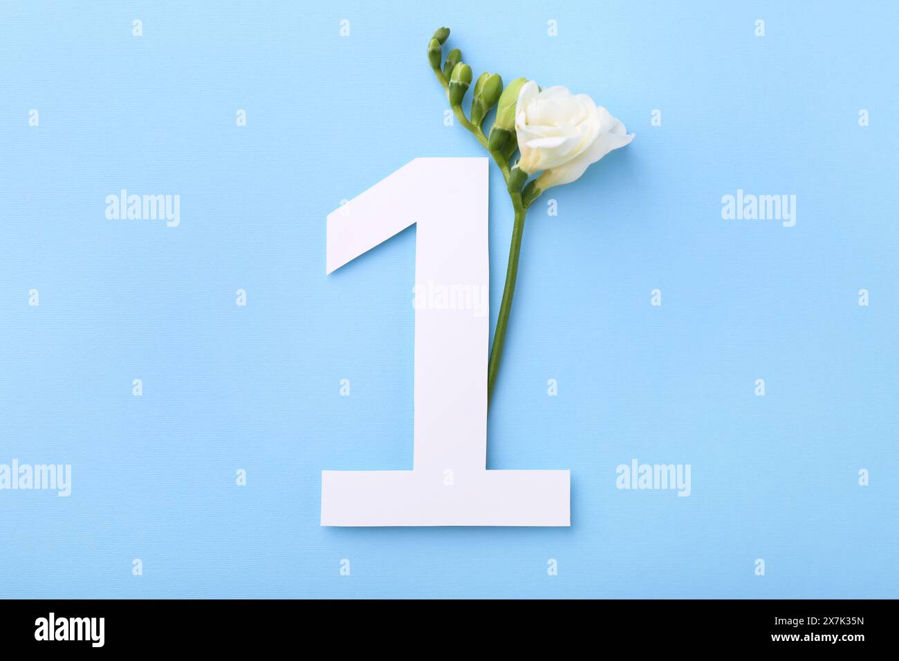 Paper number 1 and beautiful flower on light blue background, top view ...