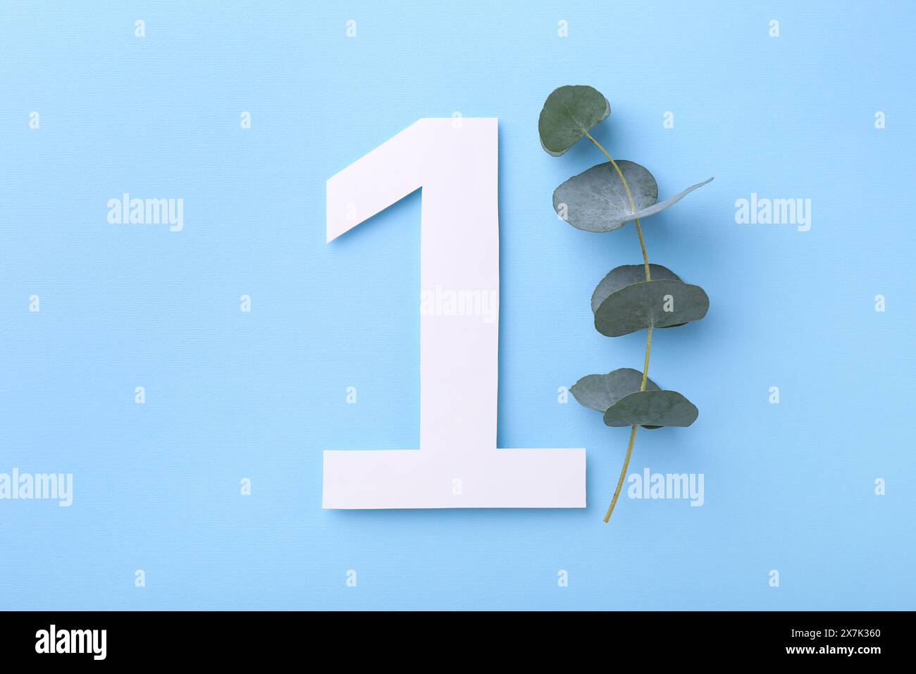 Paper number 1 and eucalyptus branch on light blue background, top view ...