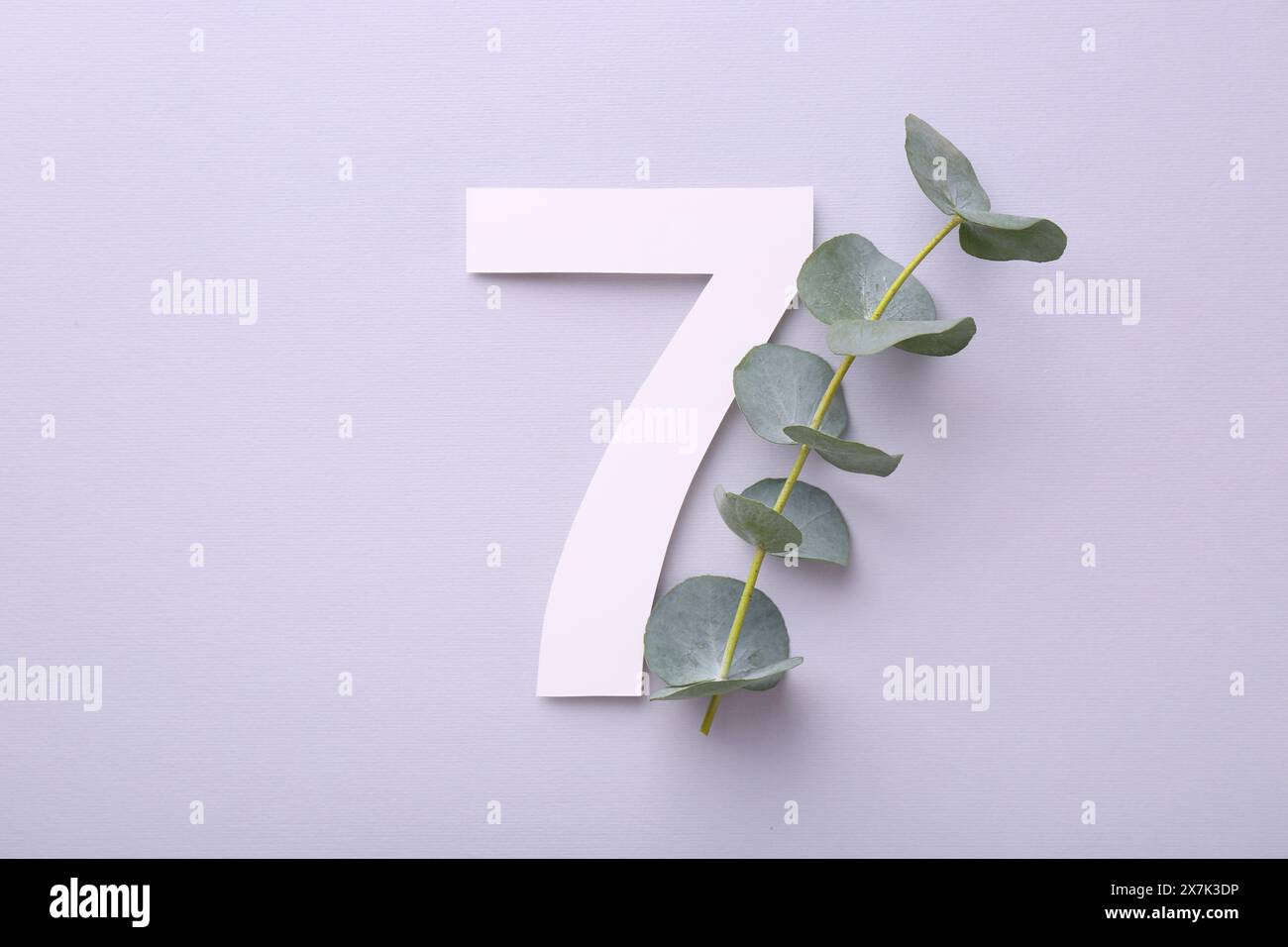 Paper number 7 and eucalyptus branch on light grey background, top view ...