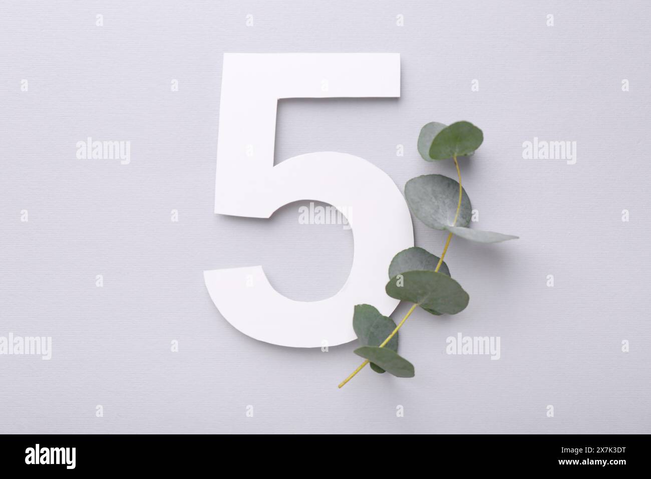 Paper number 5 and eucalyptus branch on light grey background, top view ...